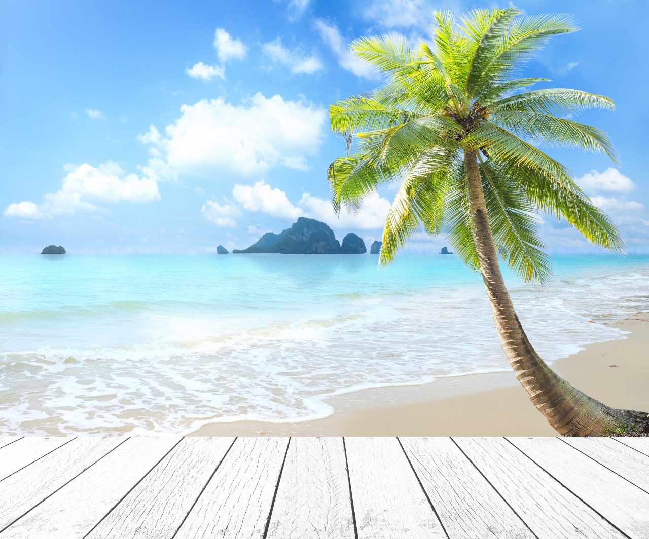 BACKDROPS | SABackdrops